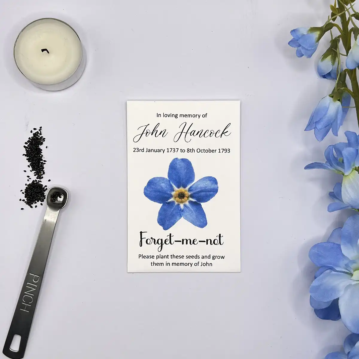 Forget Me Not Flower Dementia | Best Flower Site